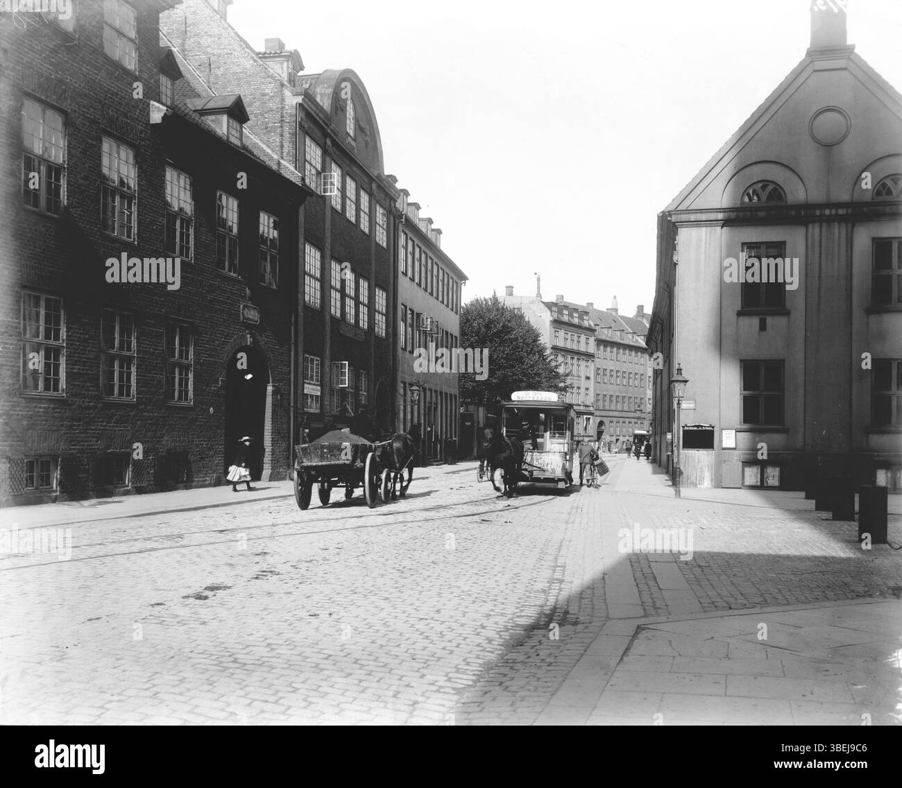 This painting by Frederik Riise depicts Nørregade and Frue Plads, two ...