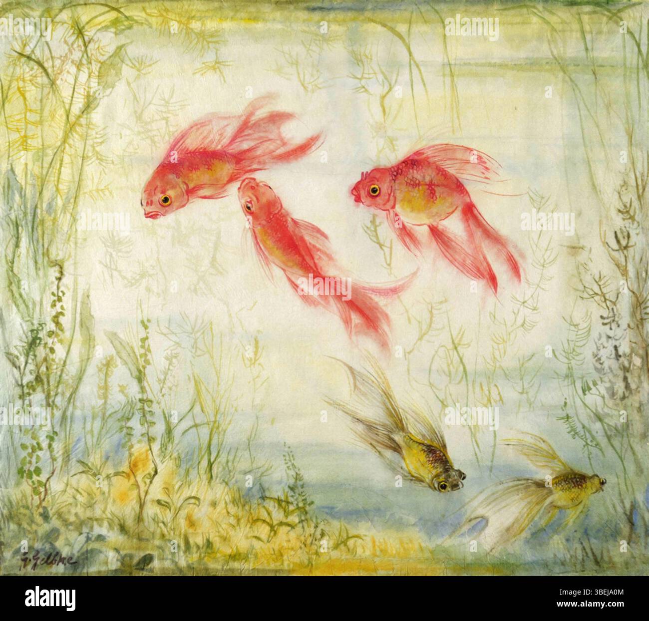 Circa 1930 watercolor by Georg Hermann Gelbke depicting fish, capturing ...