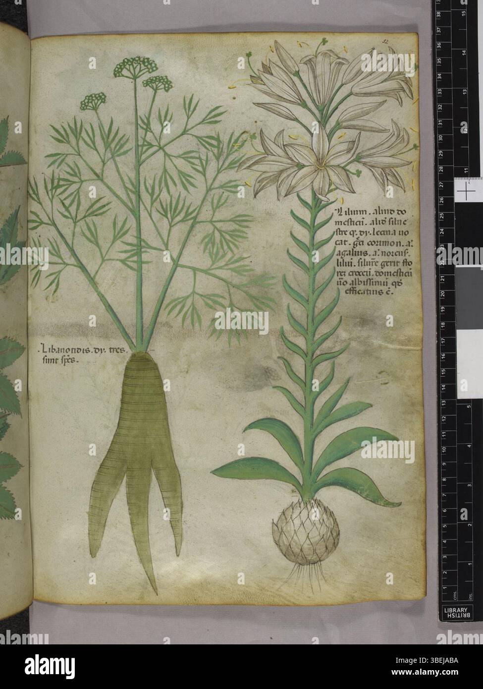 British Library Sloane 4016, folio 52r, is a mid-15th century ...