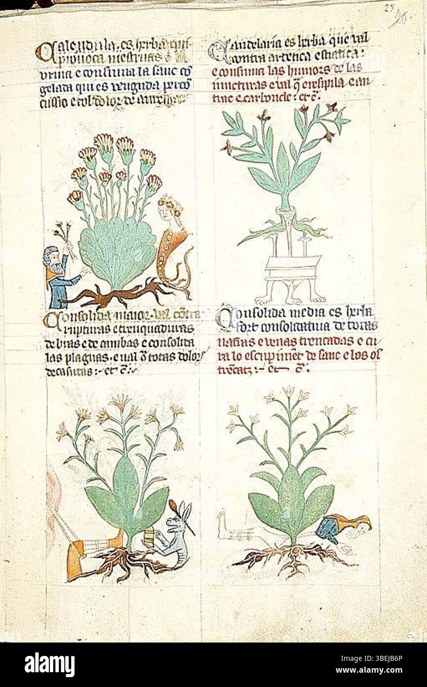 Florence, Pal. 586, f.023r, from the period of 1370-1375, shows the ...