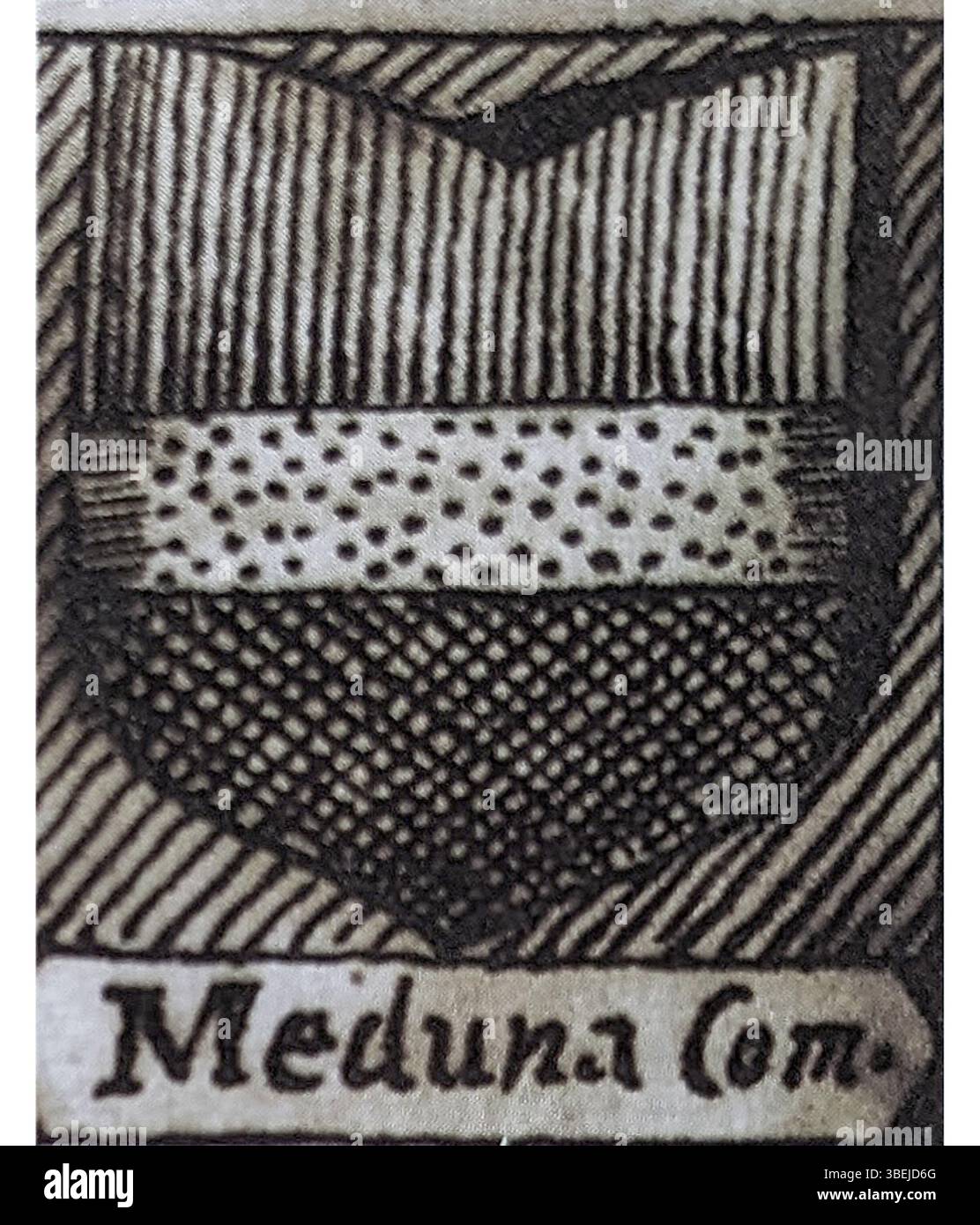 An 18th-century depiction of the Meduna coat of arms from the Armoriale ...
