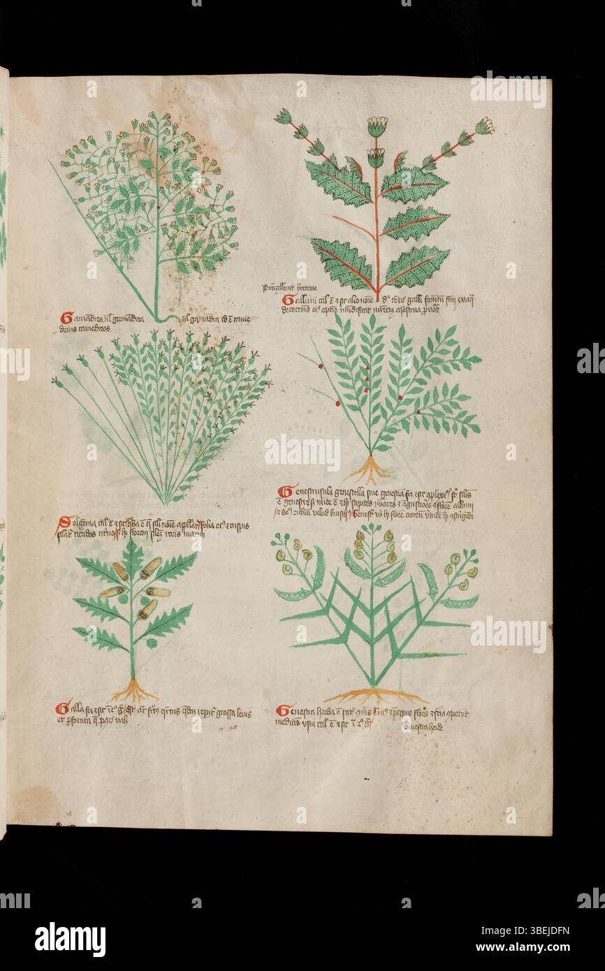 The Basel K II 11 manuscript, dated to around 1450, offers insight into ...
