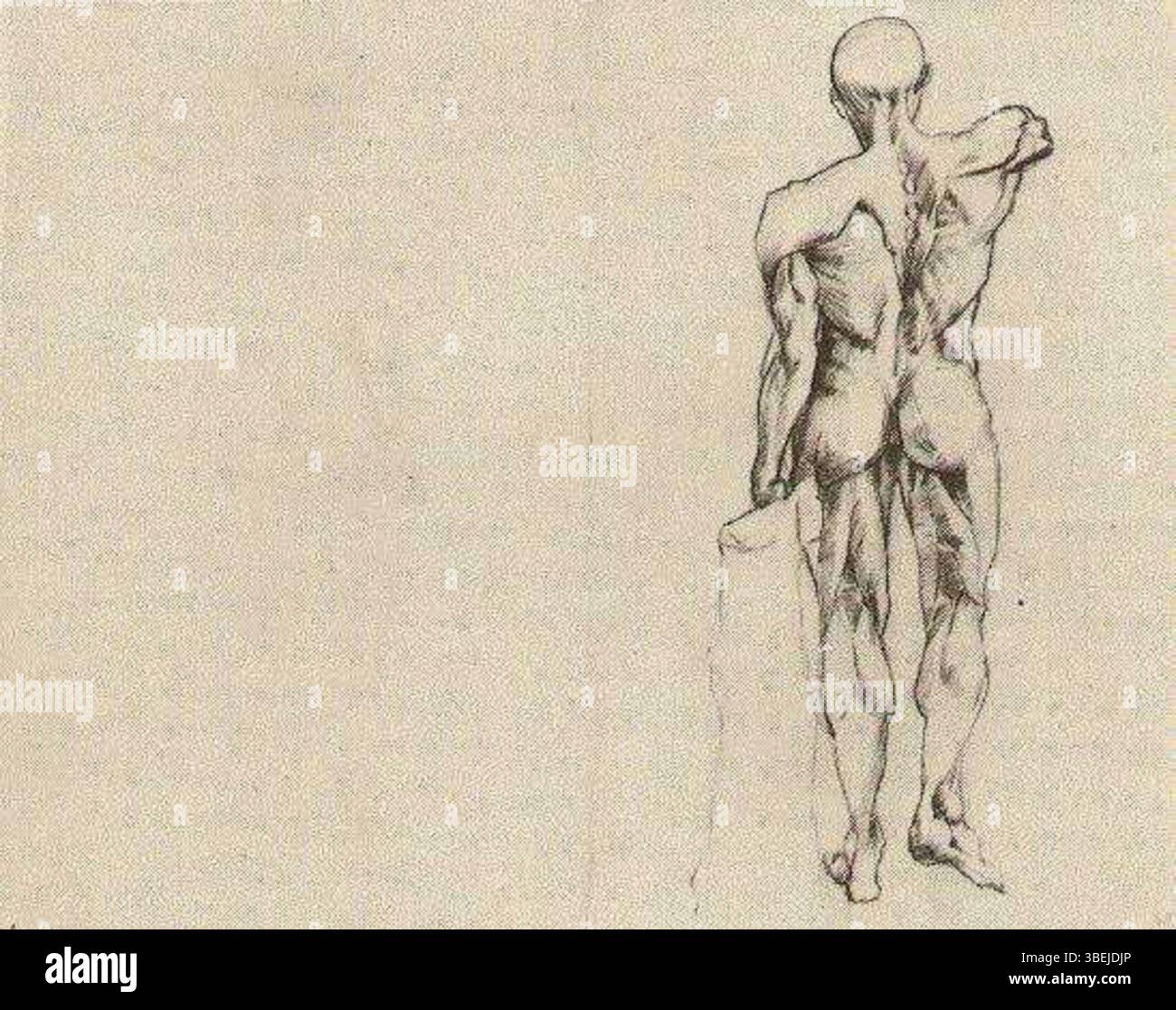 'L'Écorché' is a drawing by Vincent van Gogh from January 1, 1881 ...