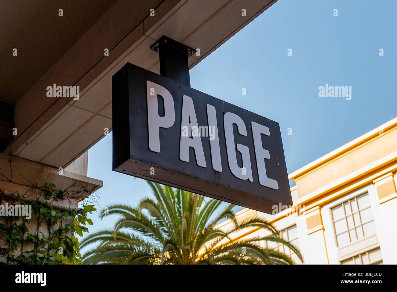 Sign for Paige clothing store with palm tree in the background, San ...