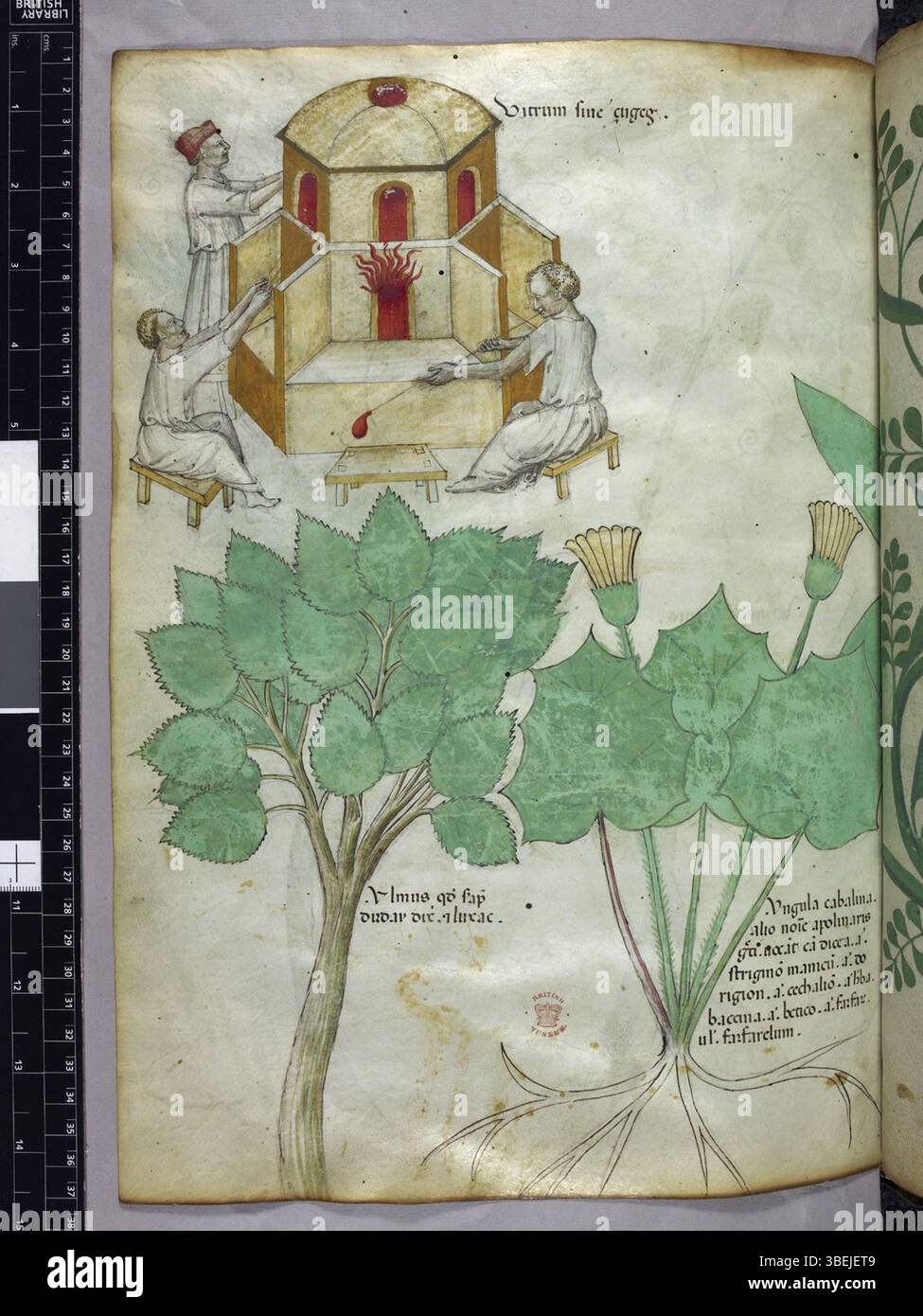 Folio 101v from BL Sloane 4016, dating to circa 1440, contains medieval ...