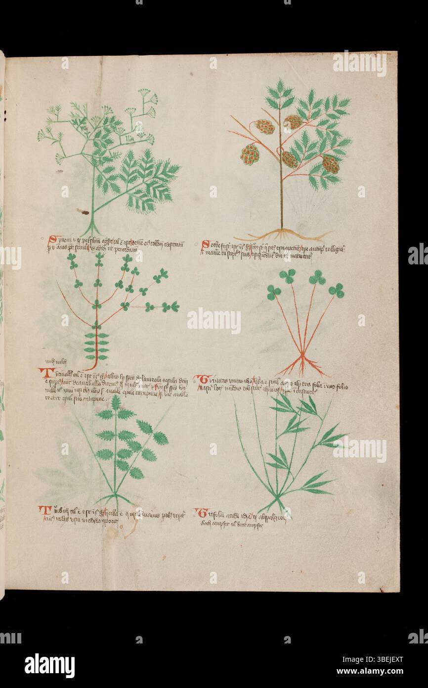 The folio f.032r from Basel K II 11, circa 1450, showcases a medieval ...