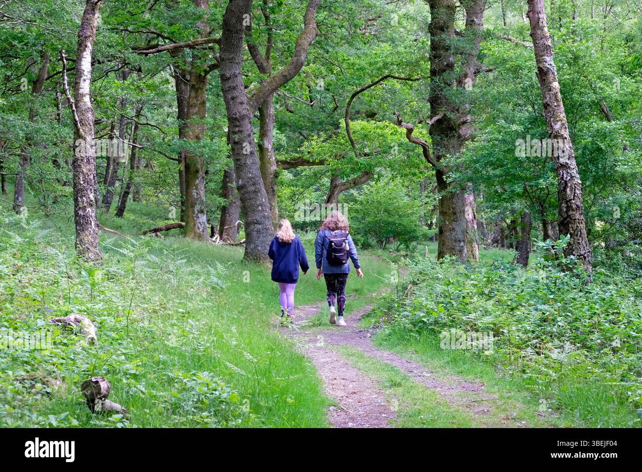 Mother daughter walk through spring hi-res stock photography and images ...