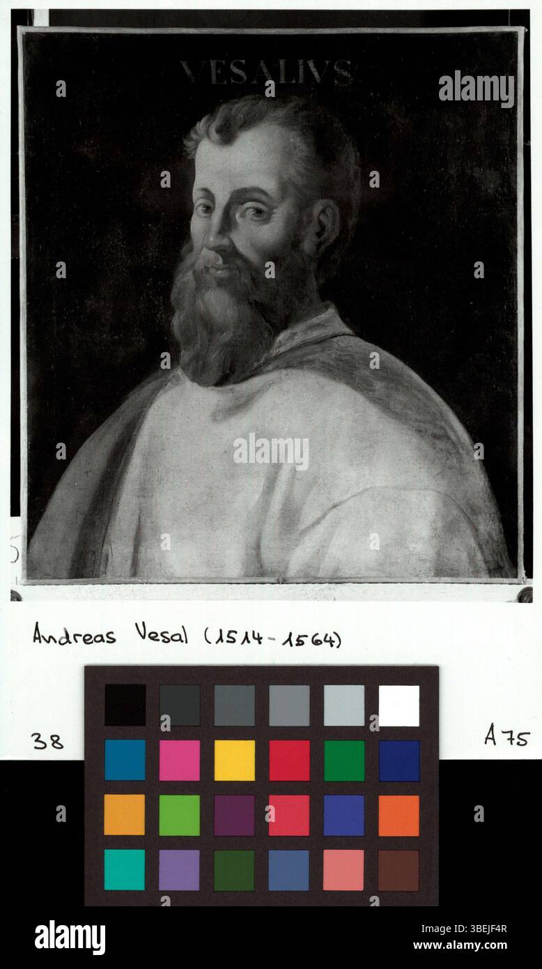 This black-and-white photograph of Andreas Vesalius' portrait, created ...