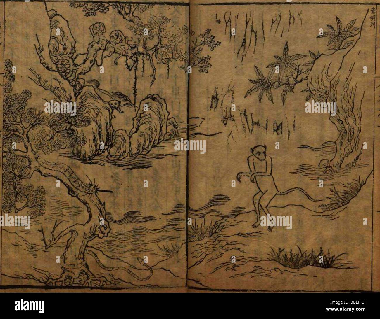Woodcut from 1597 illustrating the wildlife of Yuan Yi Zhi Shan ...