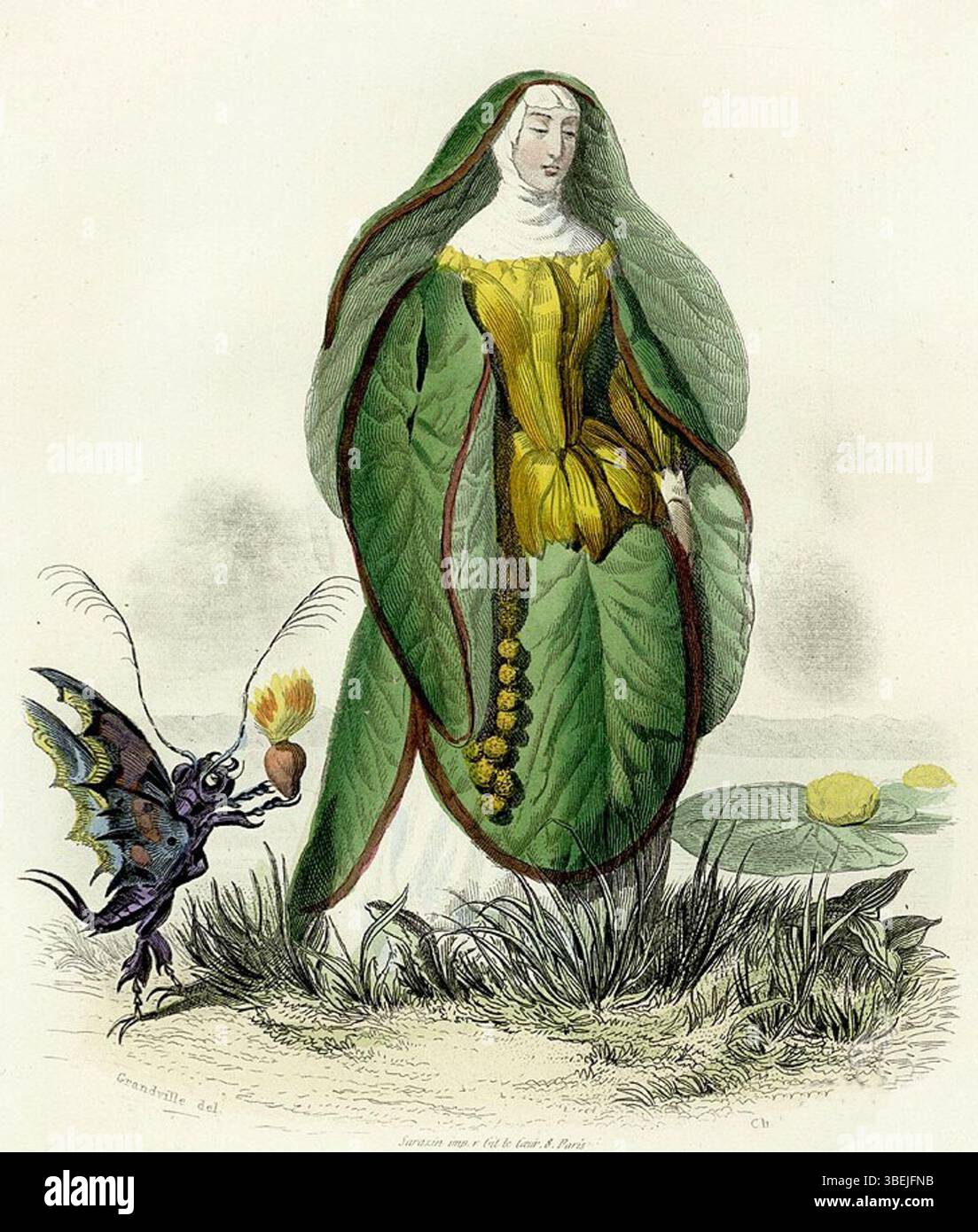 *Fleurs Animées* (Animated Flowers), a 1846 illustration by French ...