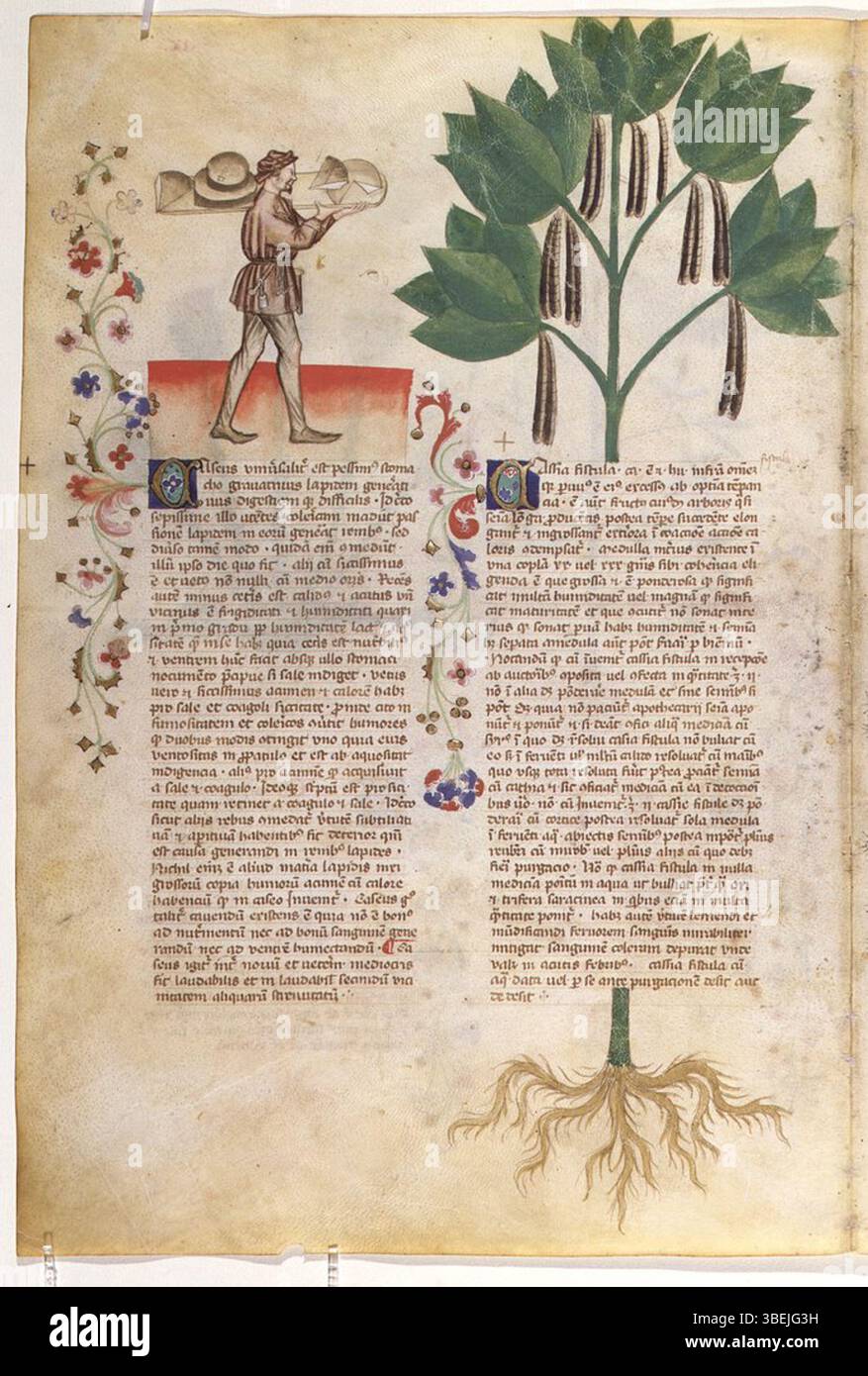 Casanatense 459, folio 59v, created in the late 14th century (1395-1400 ...