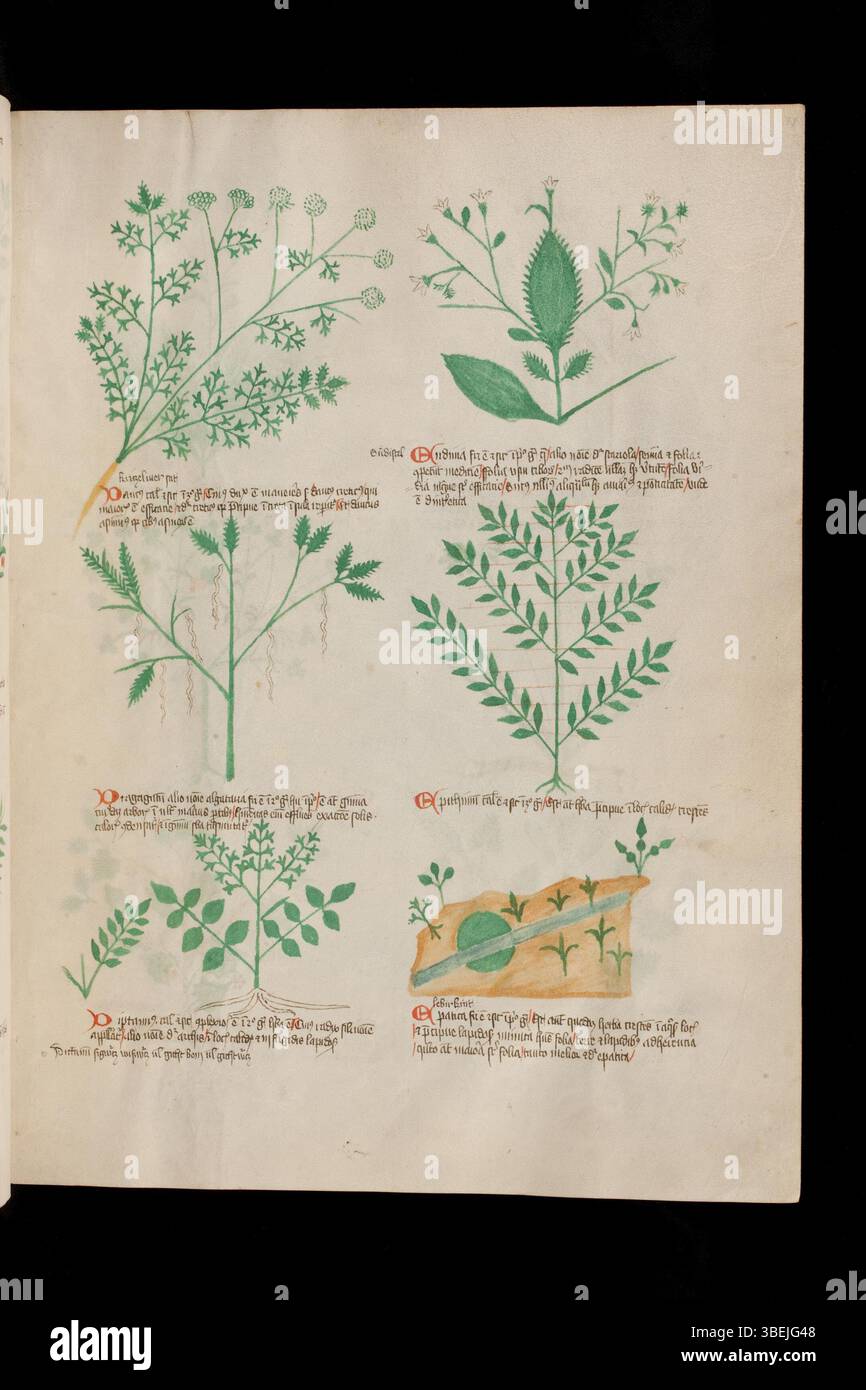 The f.011r page of the Basel K II 11 manuscript, dating to around 1450 ...