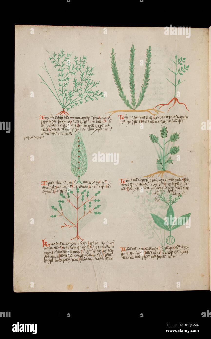 The manuscript page Basel K II 11, f.017v, dating from around 1450, is ...