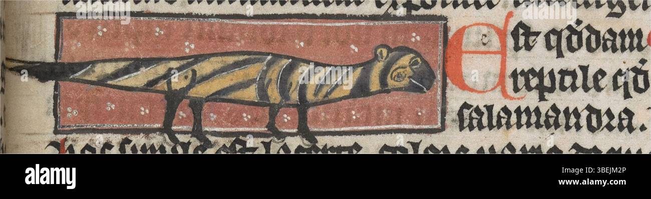 This illustration from the 13th-century Bestiary in British Library ...