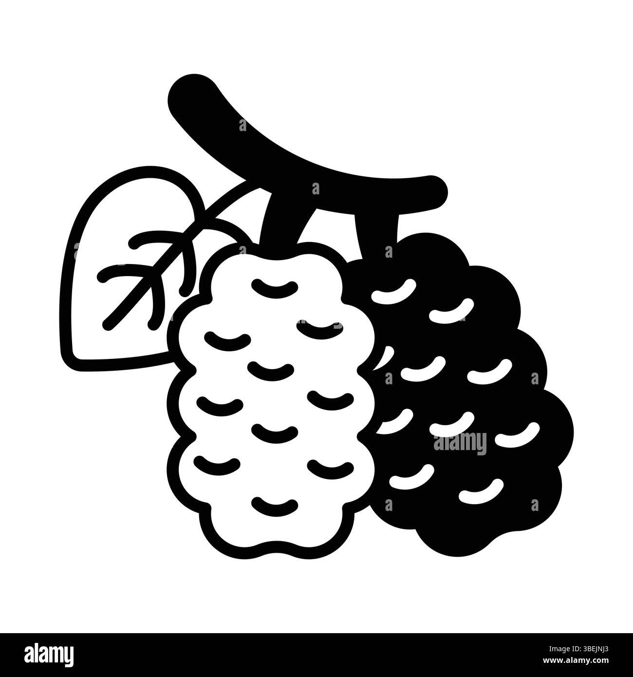 Beautiful mulberry icon design, isolated on white background Stock ...