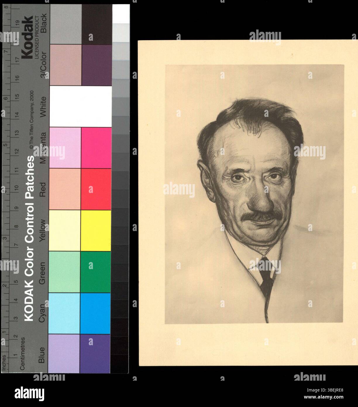 This black-and-white reproduction of a photograph by August Höflinger ...