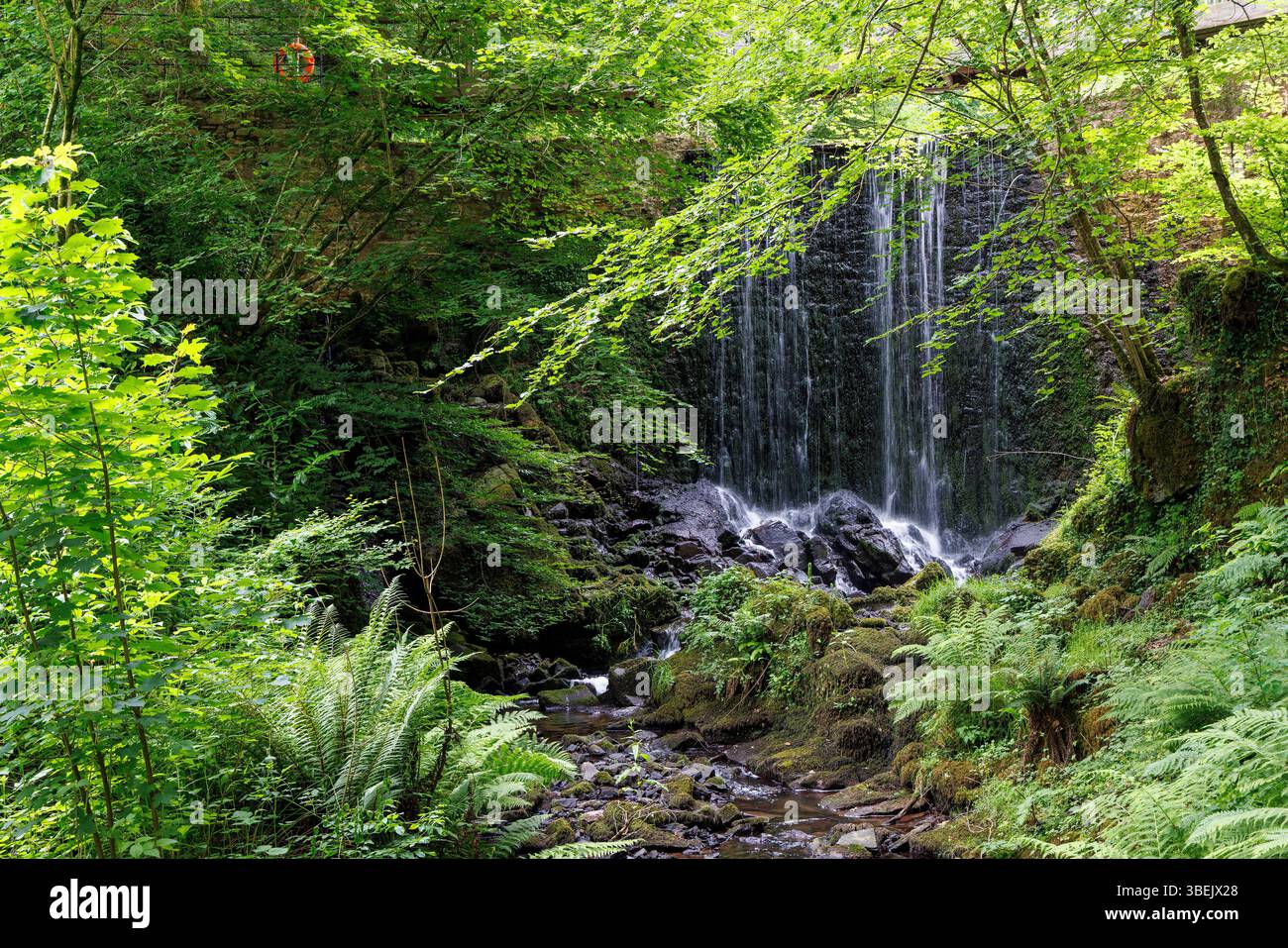 Cascade over weir, National Botanic Gardens, Wales, UK Stock Photo - Alamy