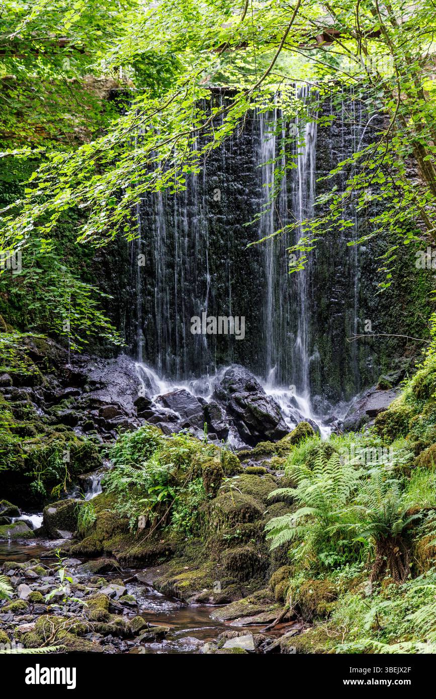 Cascade over weir, National Botanic Gardens, Wales, UK Stock Photo - Alamy