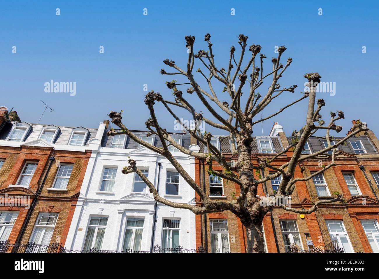 Philbeach gardens hi-res stock photography and images - Alamy