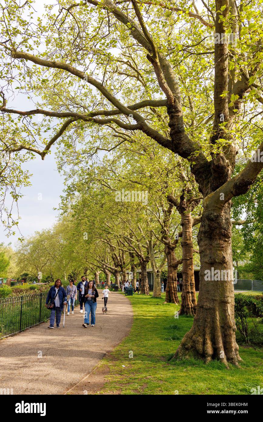 Finsbury Park, Haringey, London, England, UK Stock Photo - Alamy