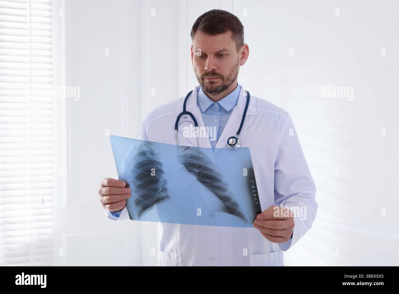 Doctor examining lung MRI scan in clinic Stock Photo - Alamy