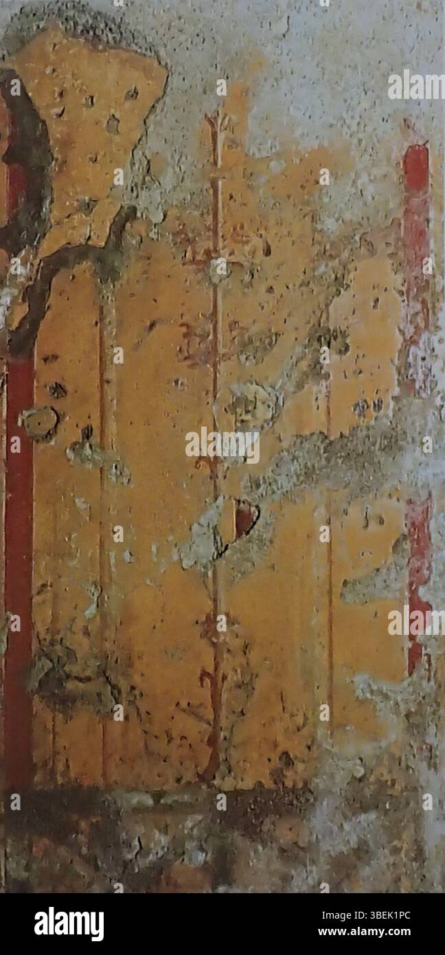 This Roman wall painting from the 1st century CE depicts the upper part ...