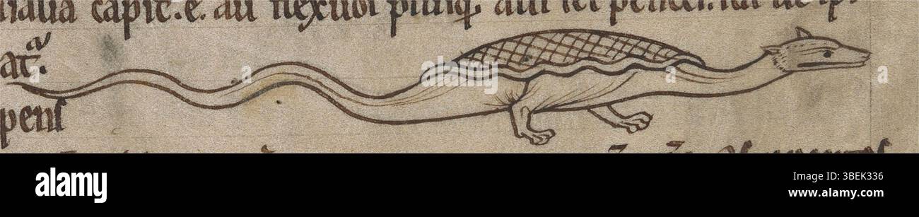 This 12th-century bestiary from the British Library illustrates the ...