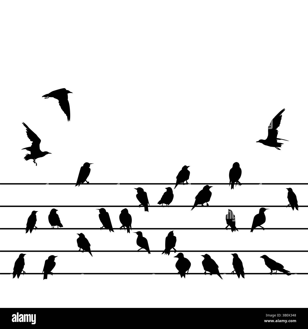Birds sitting on electric wires Stock Vector Images - Alamy