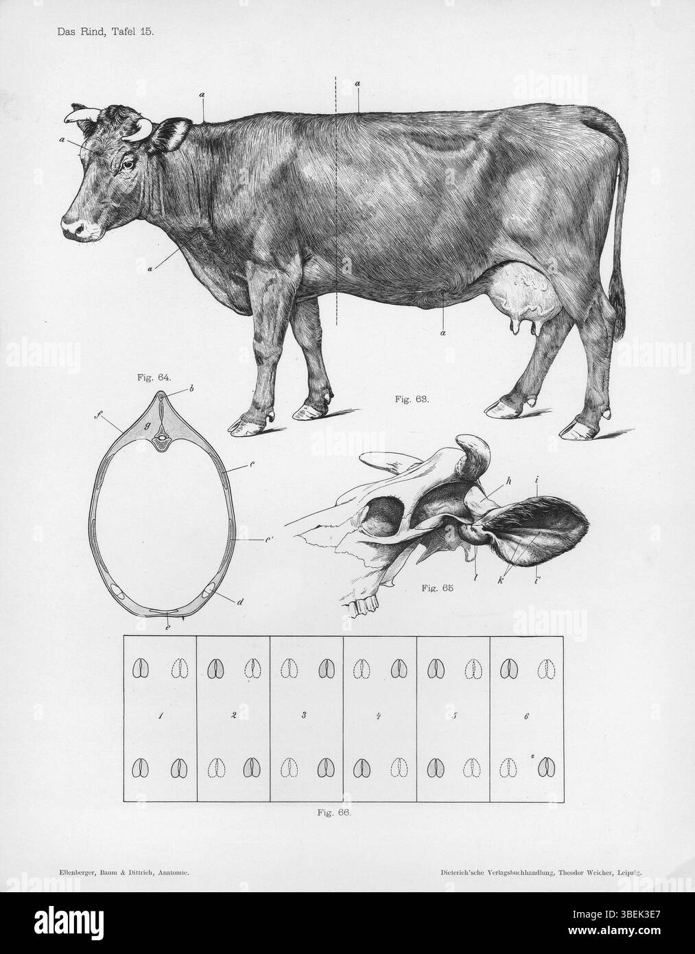 External body Black and White Stock Photos & Images - Alamy