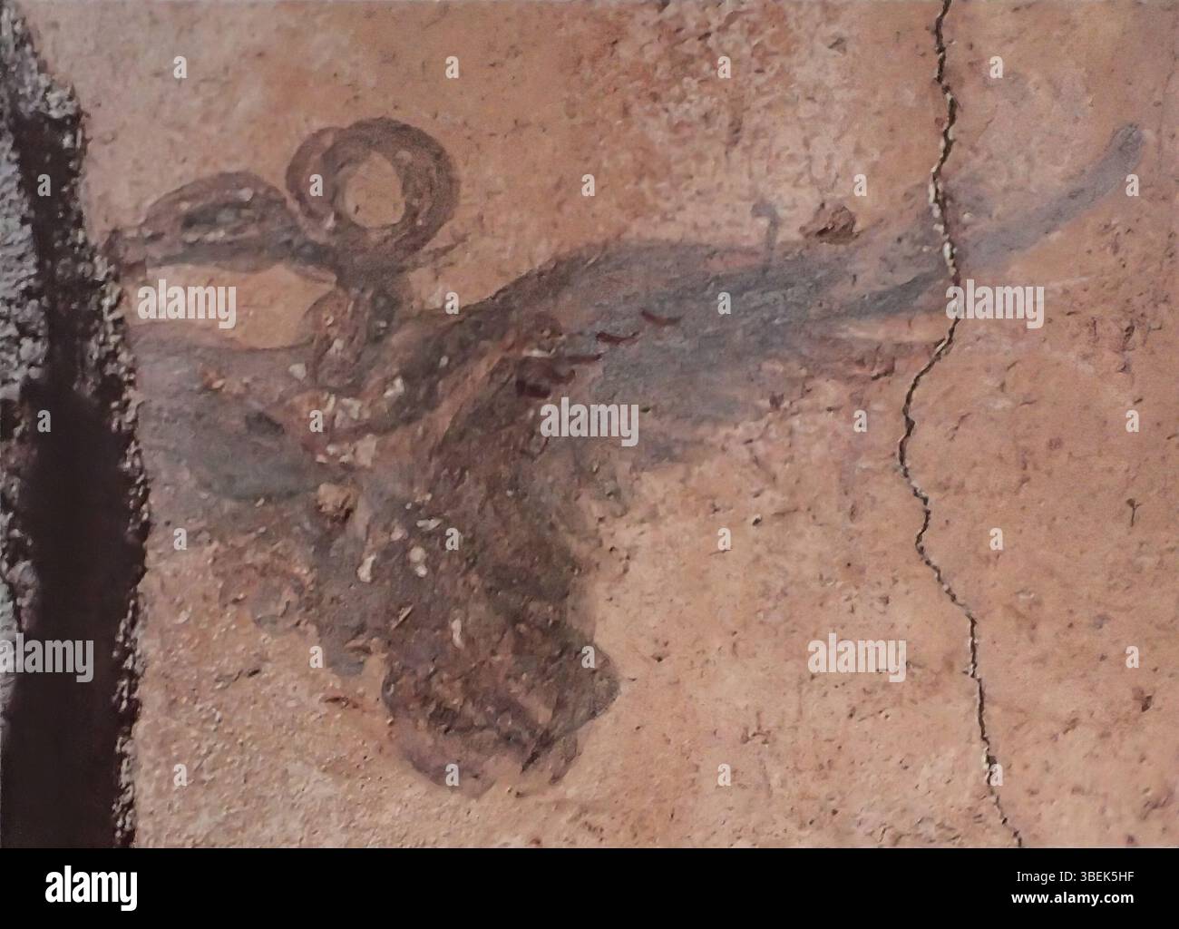 Swan motif hi-res stock photography and images - Alamy