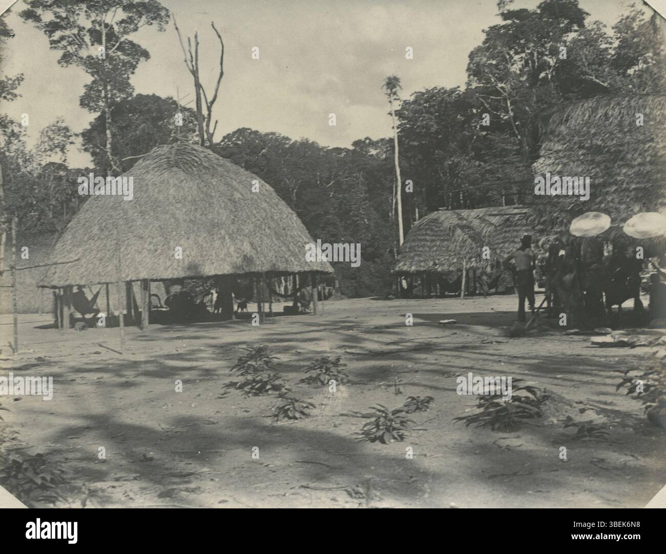 This 1903 image shows houses in Jamaike, Marowijne, Suriname. The ...