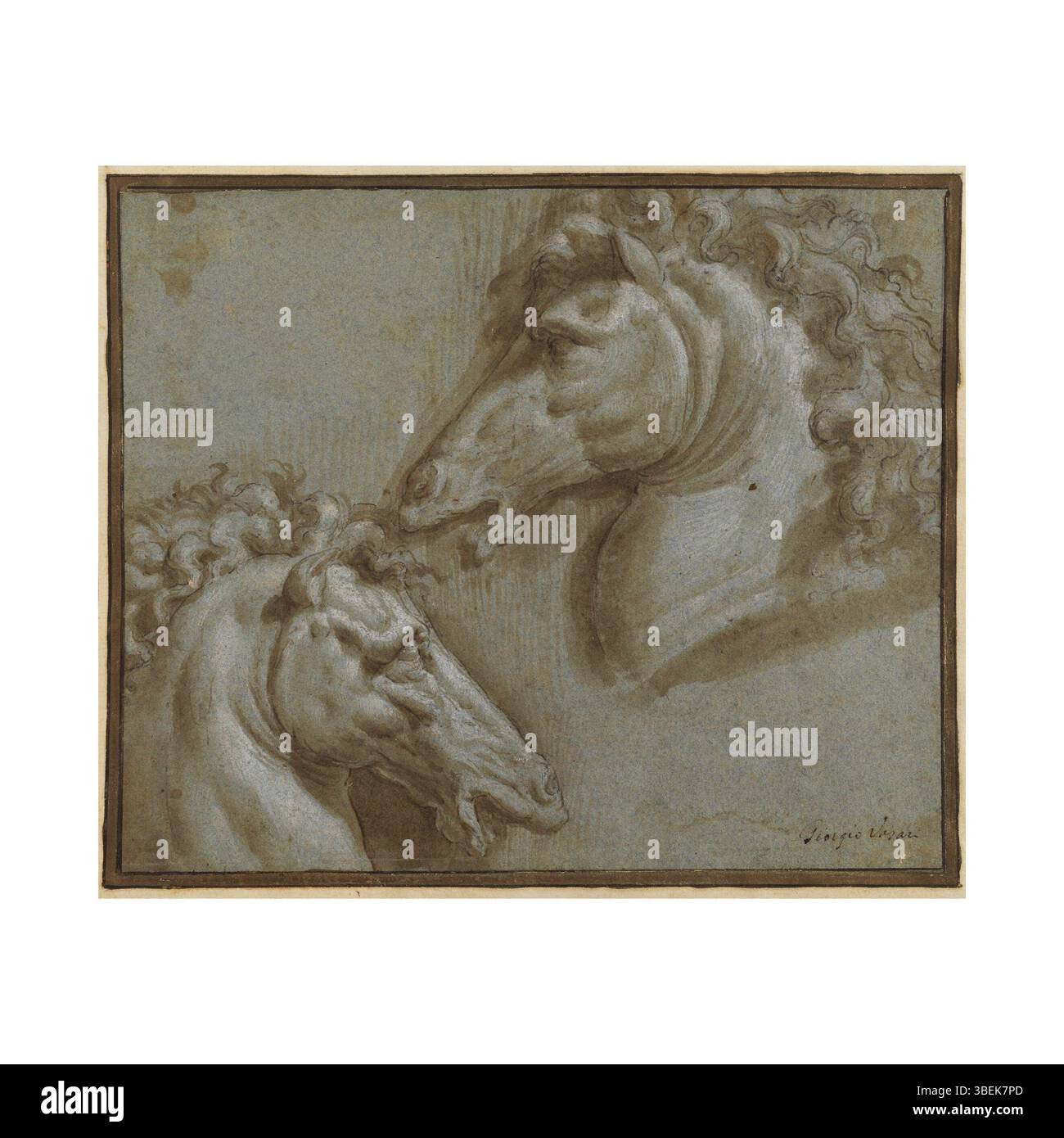 This Florentine school study from the 16th century depicts two horse ...