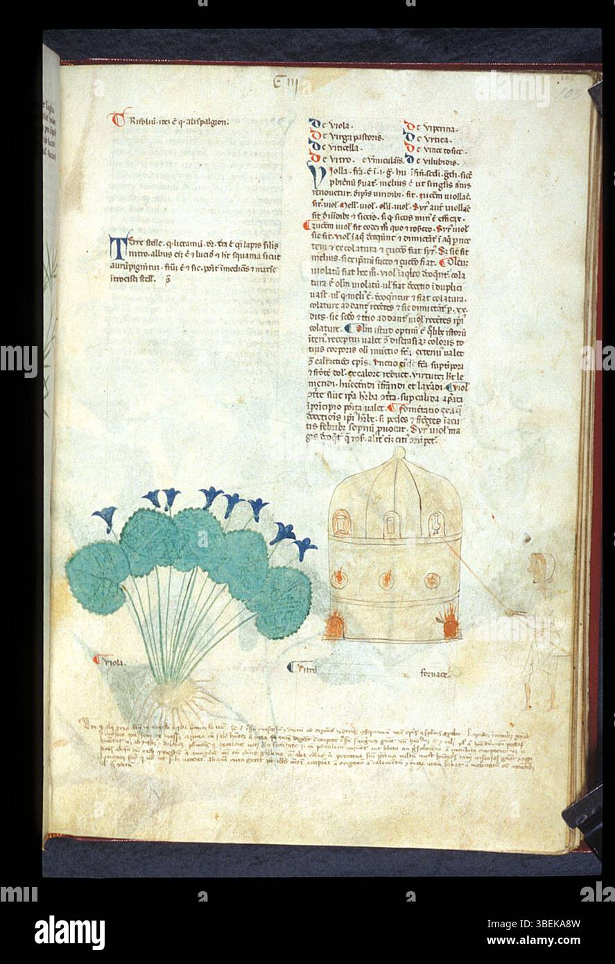 Folio 103r of BL Egerton 747, created between 1280 and 1350 by ...