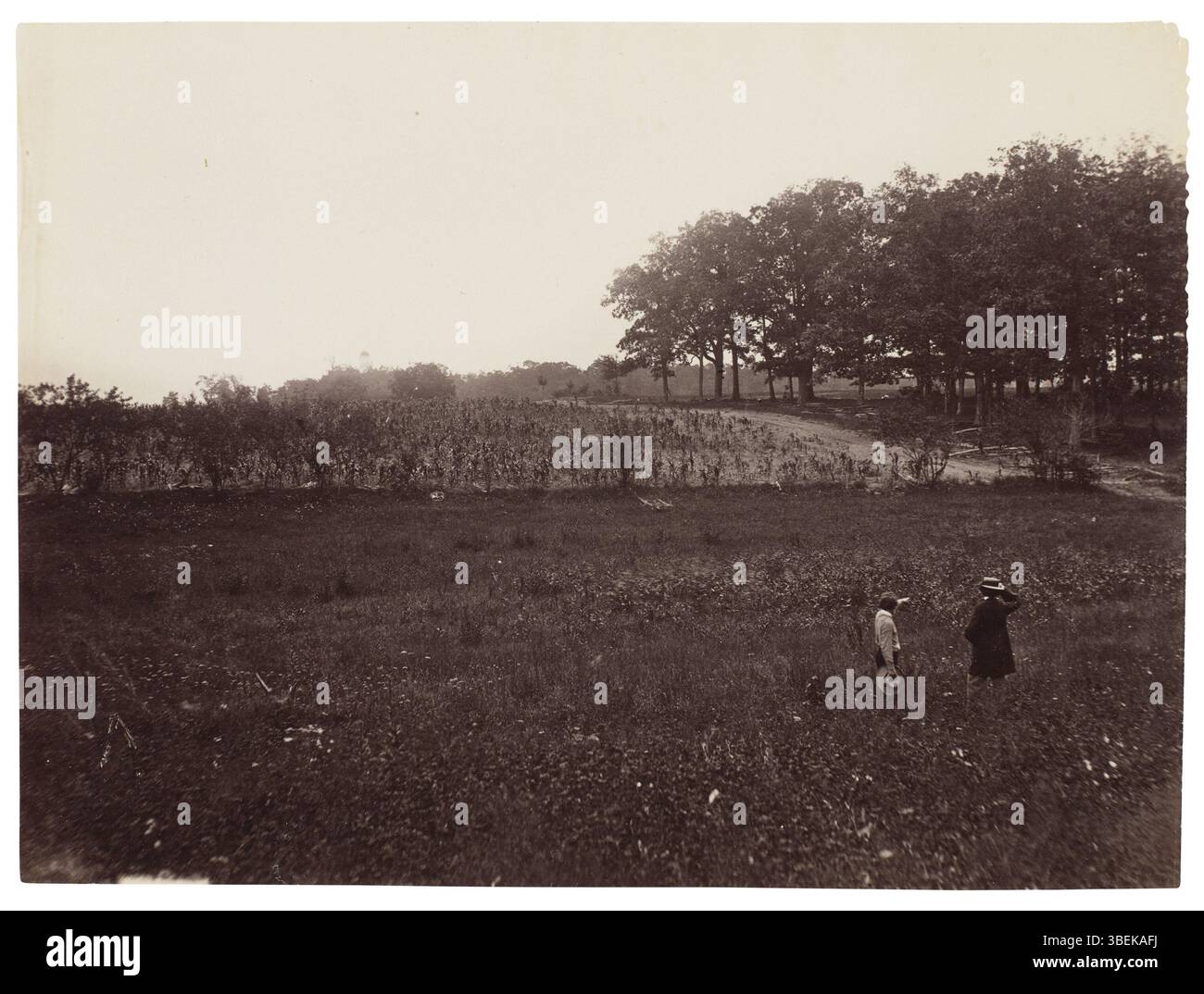 This famous photograph, once attributed to Mathew B. Brady, captures ...