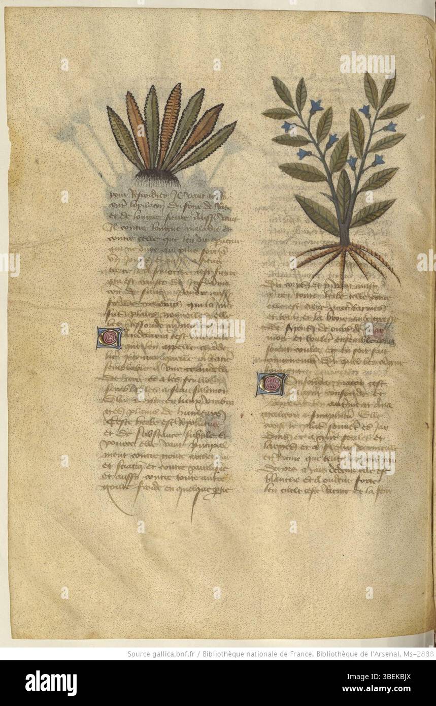 This manuscript page from Arsenal, Ms-2888, f.065v, dating from 1425 to ...