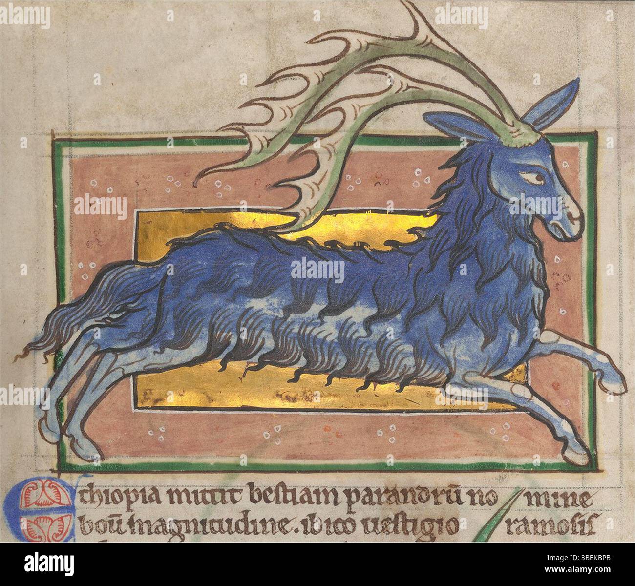 This image from the Worksop Bestiary illustrates the parandrus, a ...