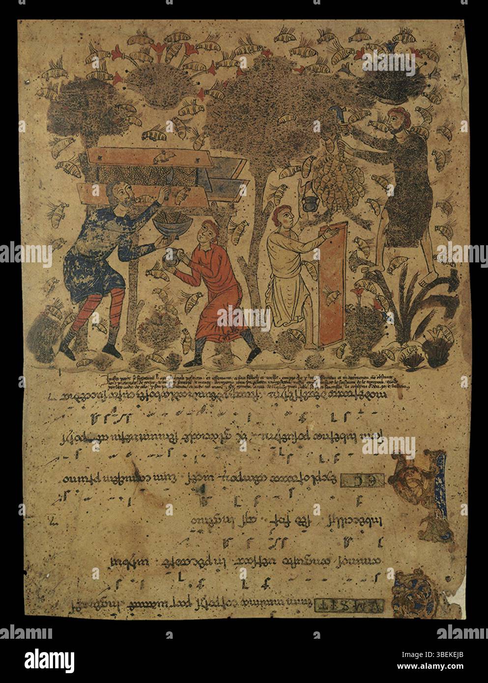 The Barberini Exultet Roll is a medieval illuminated manuscript from ...