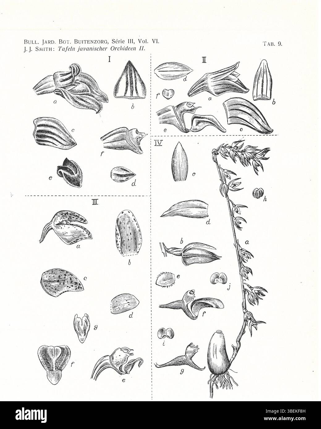 This plate from Johannes Jacobus Smith's 1924 work illustrates several ...