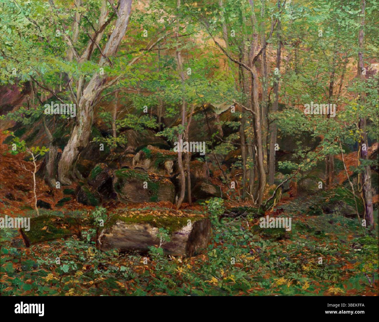 Work explores forest trees hi-res stock photography and images - Alamy