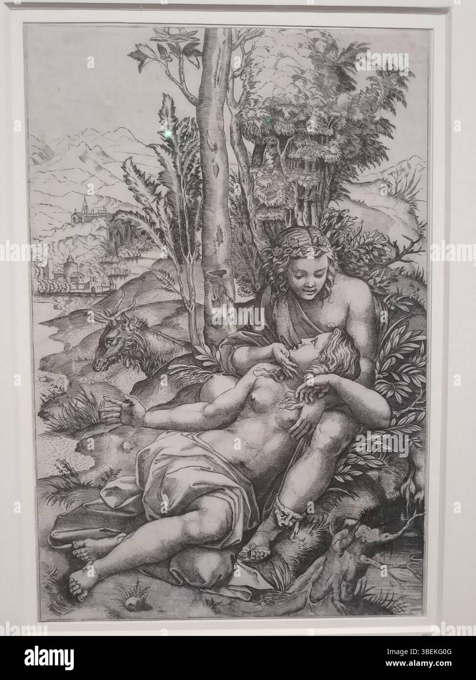 *Venus und Adonis*, circa 1516, is an engraving by an unknown artist housed in the ...