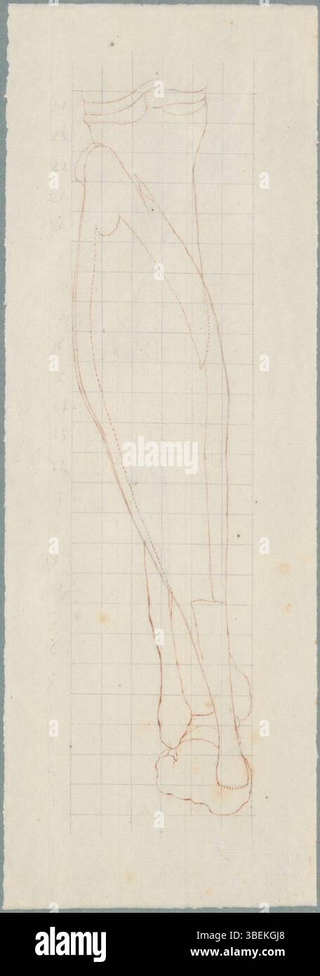 This anatomical drawing by Jan Wandelaar, created in the 18th century ...
