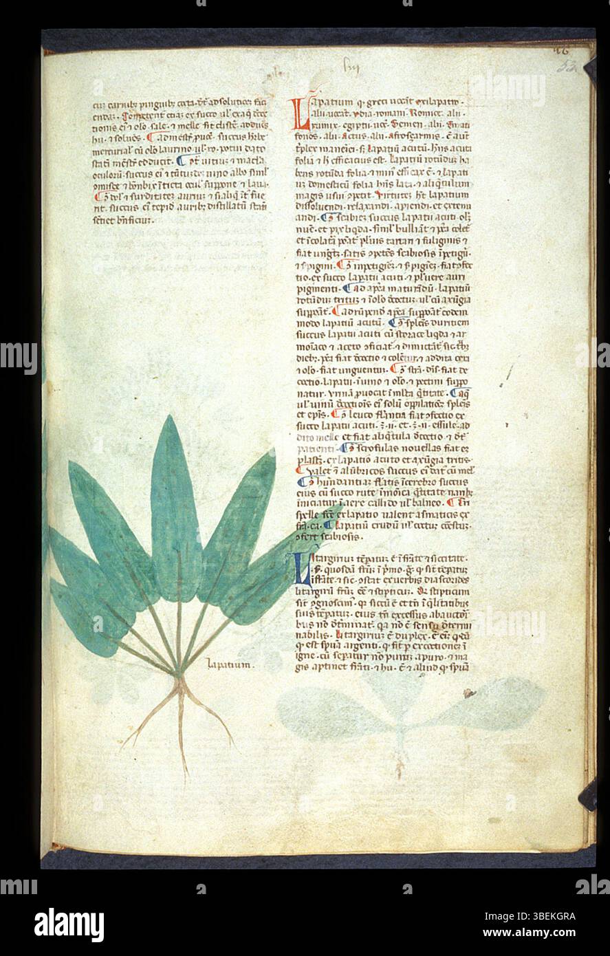 Bartholomaeus Mini de Senis’s work in BL Egerton 747, f.053r, reflects the artistic styles of ...