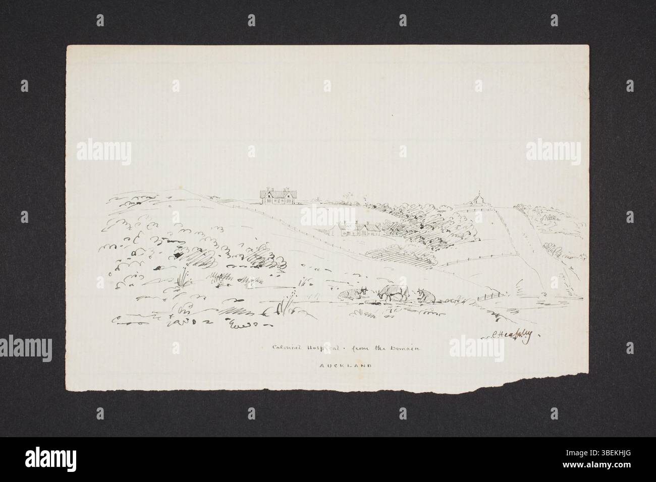 A pen and ink drawing by Charles Heaphy of the colonial hospital from ...