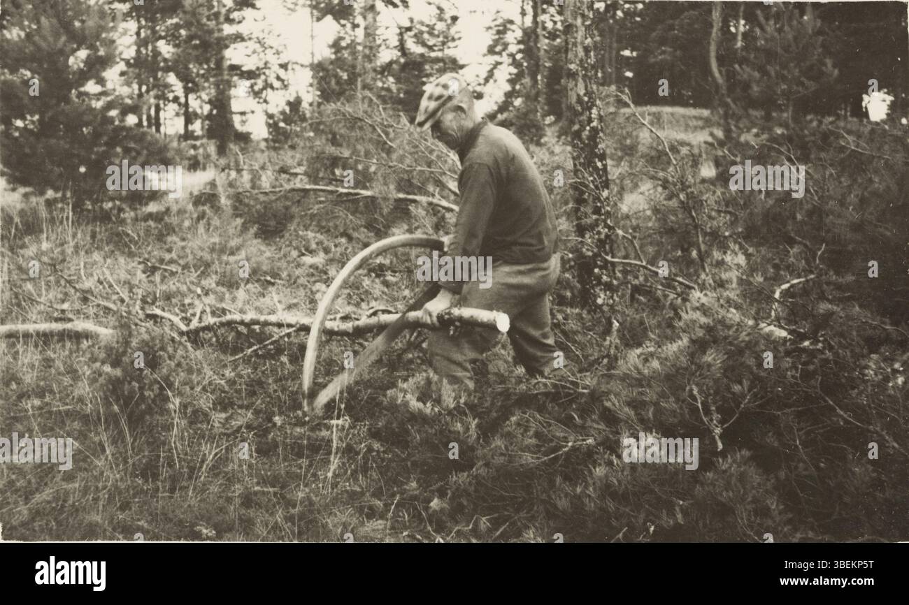 This photograph by Ferdinand Linnus from the 1920s depicts a solitary worker sawing wood with a ...