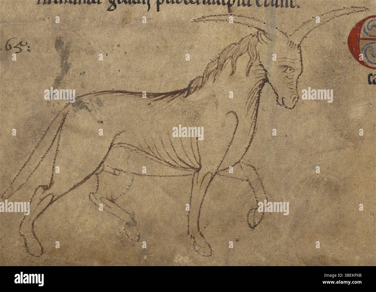 This 12th-century manuscript image (British Library MS. Add. 11183 ...