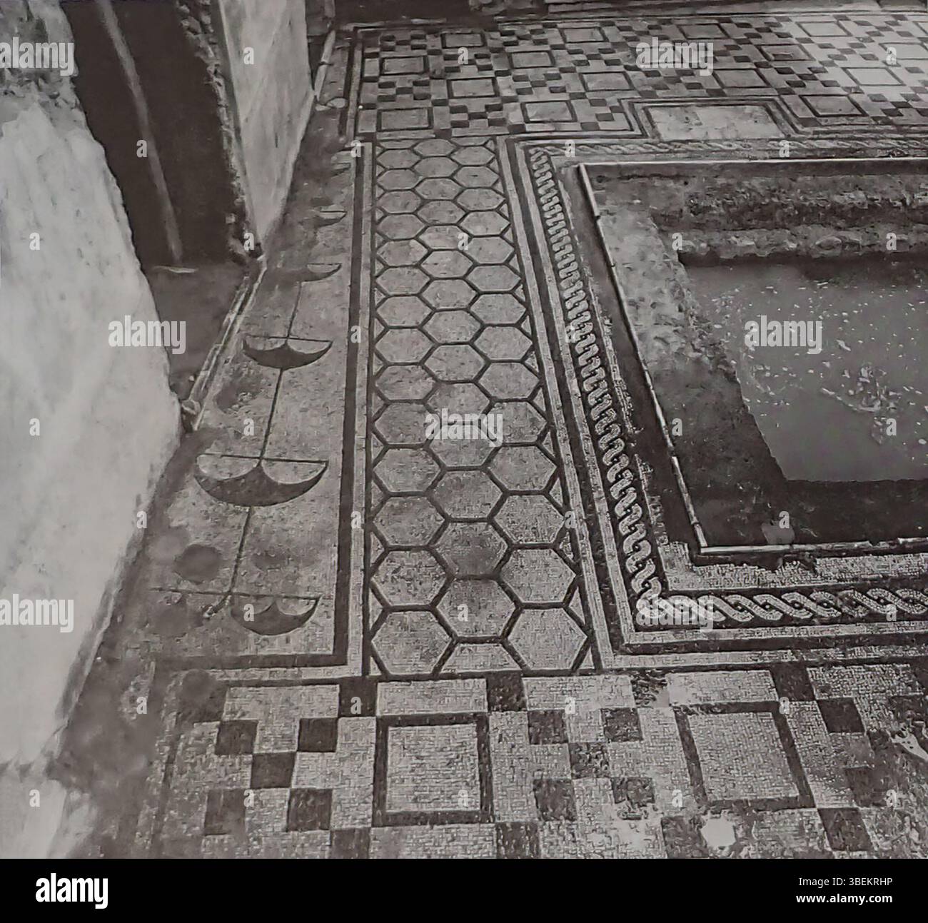 This mosaic, from the western section of Atrium B in the House of the ...