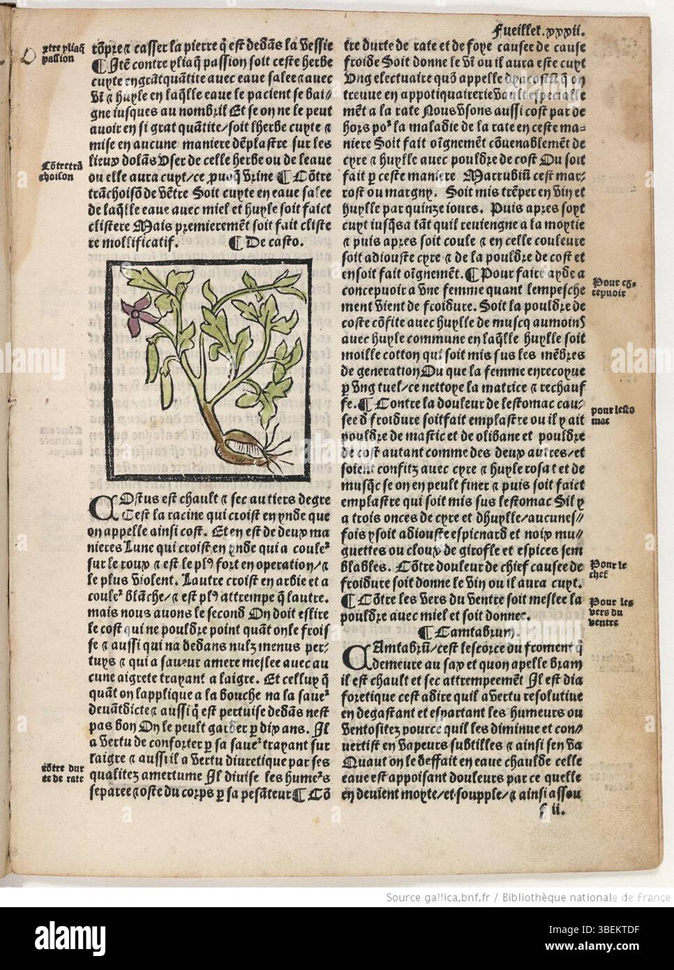 This illustration from the 'Le Grant Herbier en françoys', dated ...