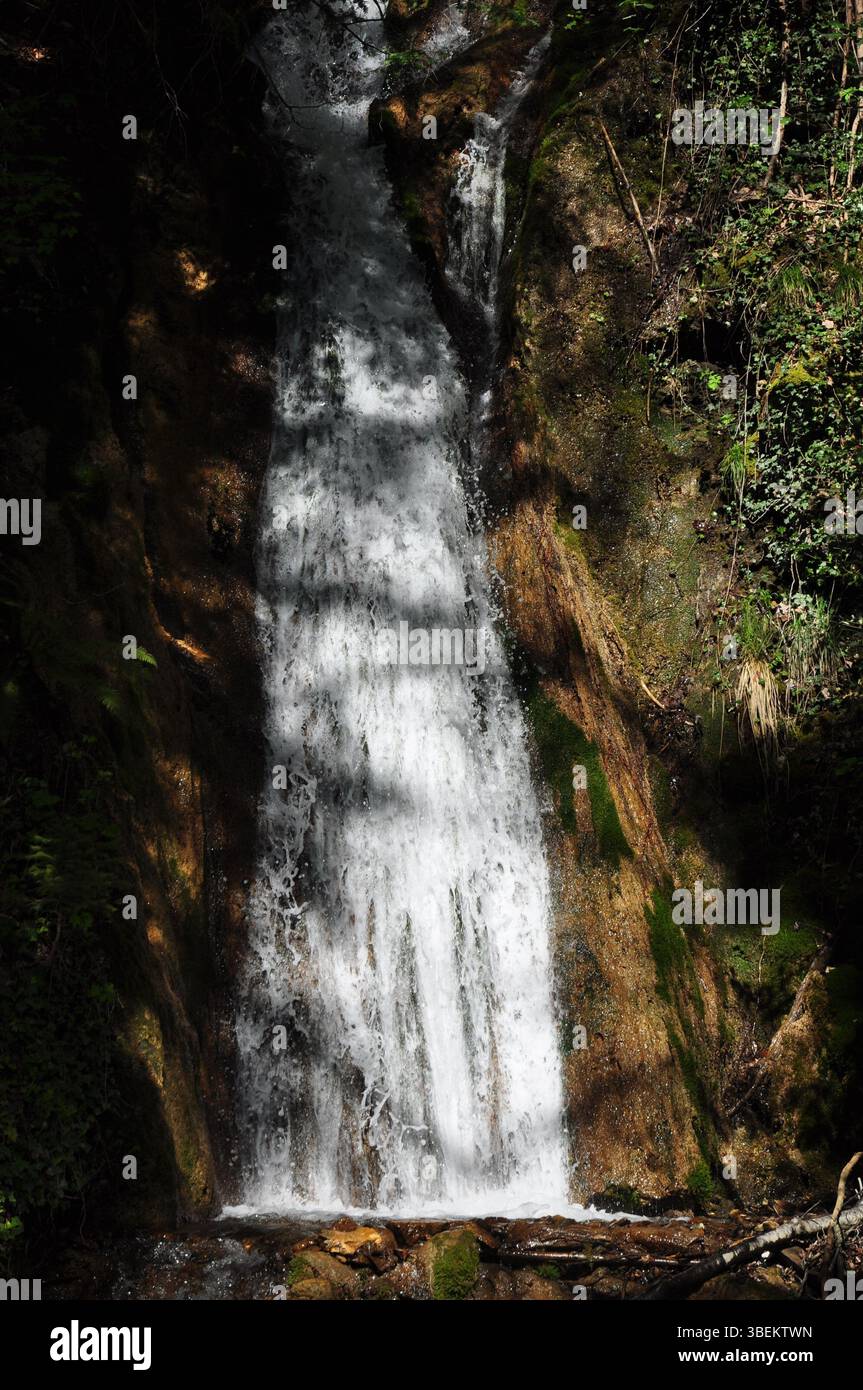 Dhui hi-res stock photography and images - Alamy