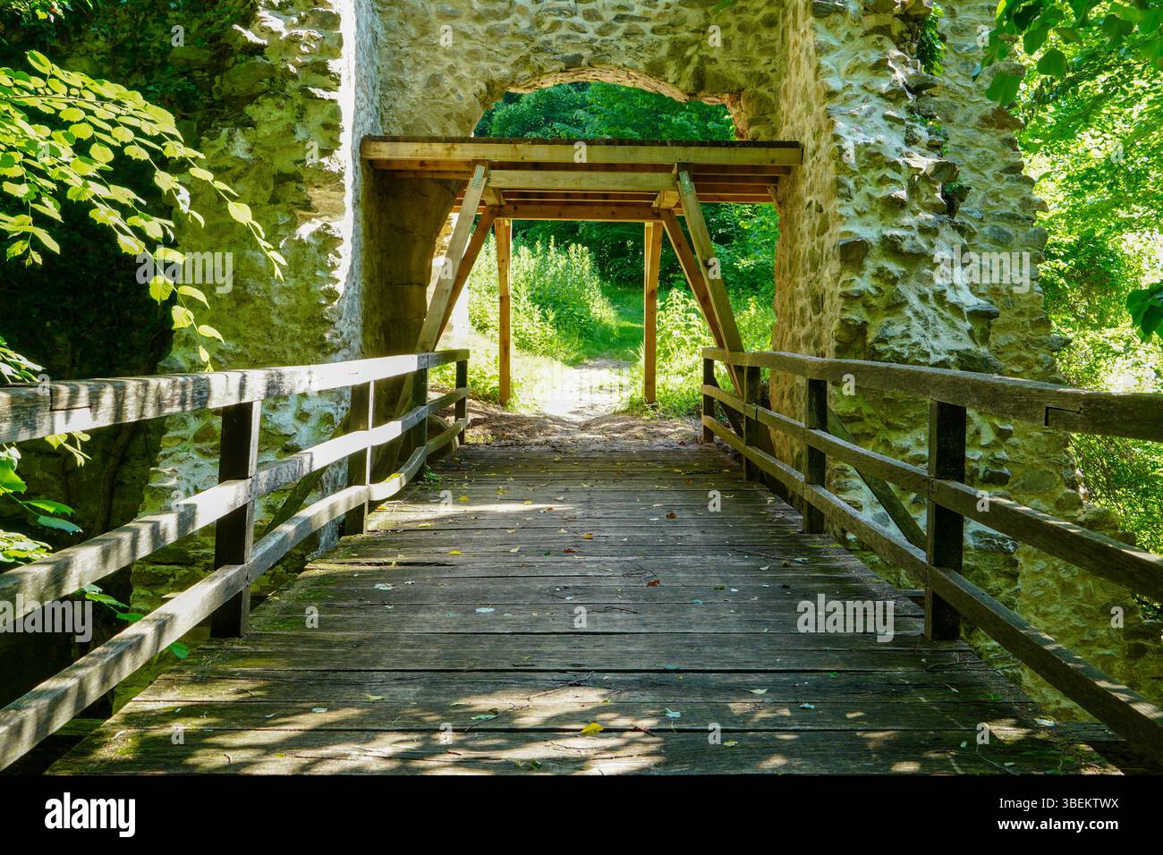 Wooden bridge in a forest along the trekking path.Old wooden bridge ...
