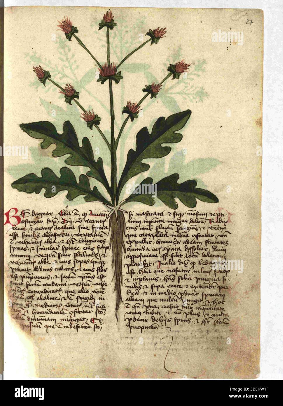 This page from Munich Cim. 79, created after 1440, showcases detailed ...